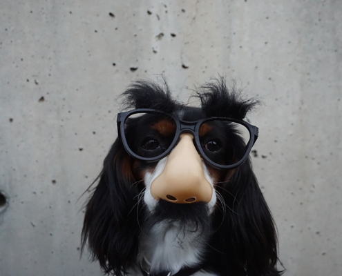 Looking for Something Else? - Customer Whisperers.com