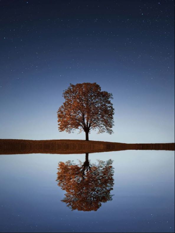 A Magic Key to Customer Satisfaction - Customer Whisperers.com